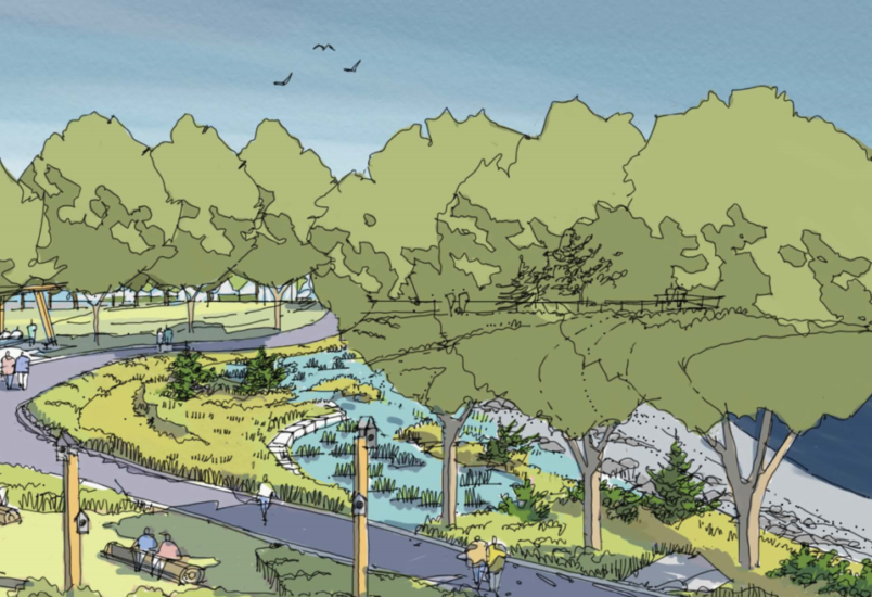 Kings Mill Walk Park: Upcoming Improvements - North Harbour